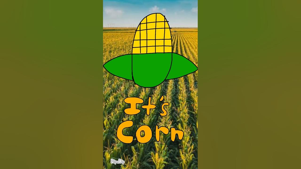 It's Corn - YouTube