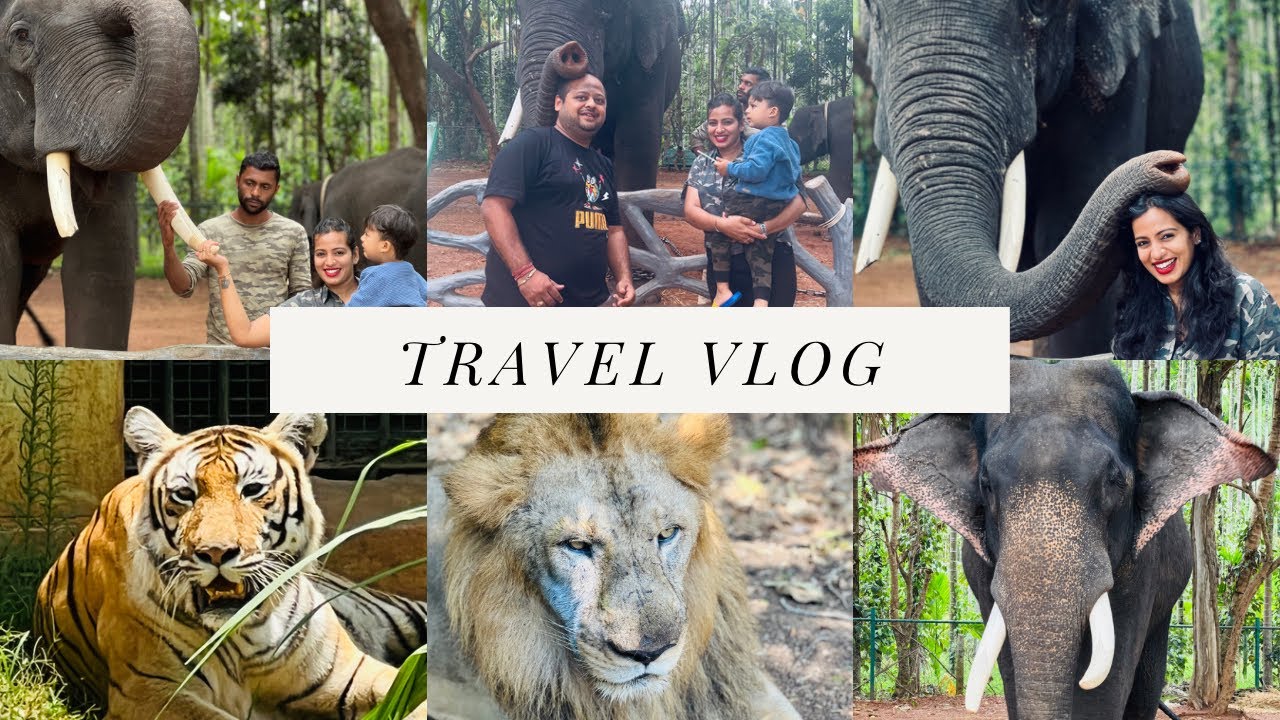 Travel vlog| sakrebailu Elephant Camp| Shimoga zoo & safari | with ...