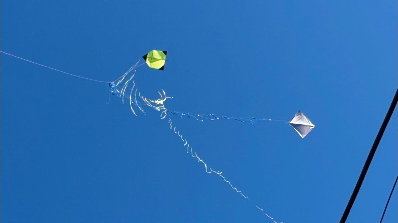 Uaau, Pipa de 80cm cortou e Aparou Peixão em 3 Pedaços, Relou e Aparou ...