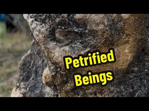 Petrified Beings - YouTube