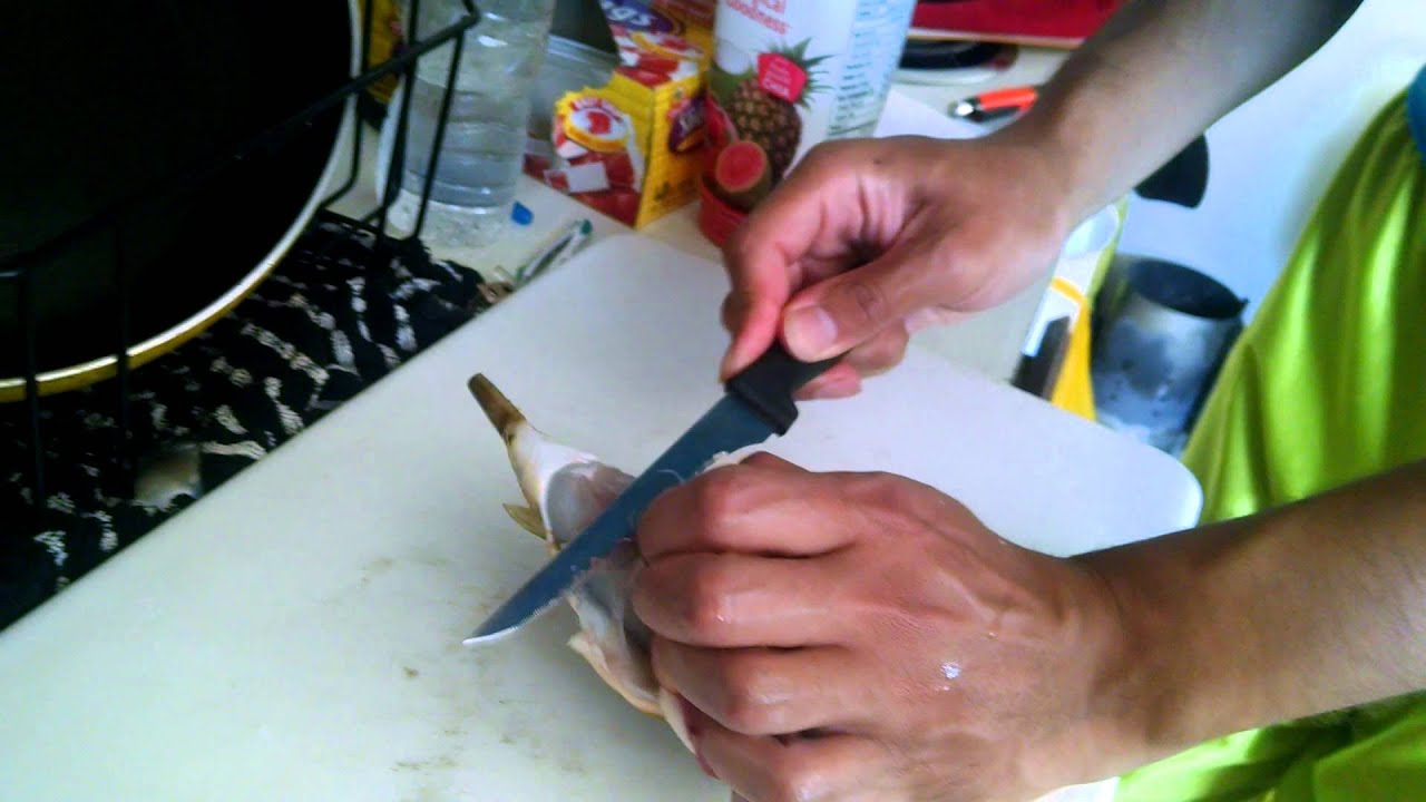 How to clean a blowfish to cook and eat - YouTube