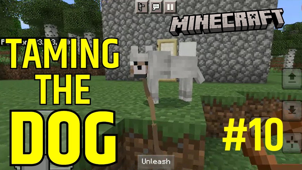 Taming The Dog | Minecraft Gameplay #10 - YouTube