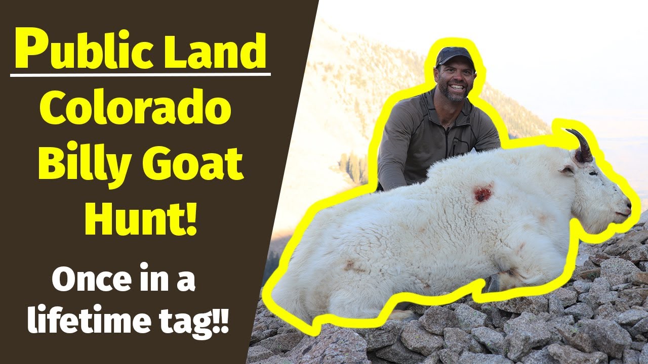 Colorado PUBLIC LAND Billy Goat!! Once in a Lifetime Hunt! - YouTube