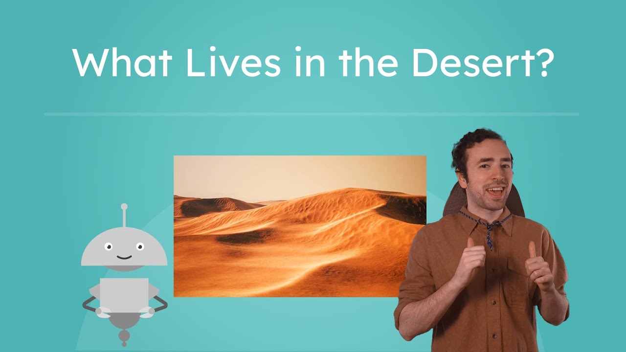 What Lives in the Desert? - Desert Biomes and Survival - YouTube