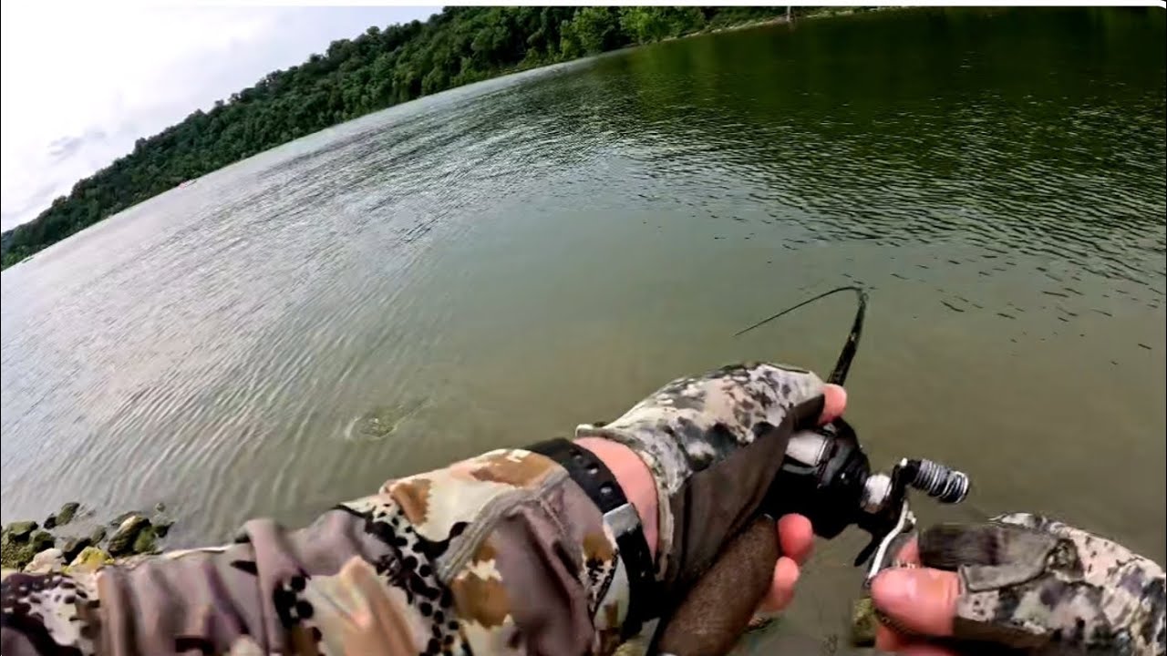 Zero Electronics #fishing #bassfishing #fish #fishcatching - YouTube