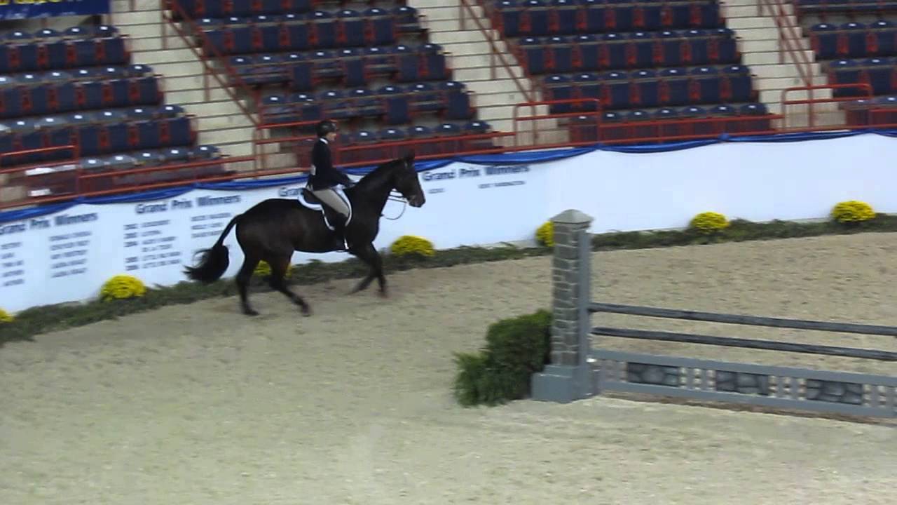 Hannah Wally USEF Finals Saturday Class 101213 - YouTube