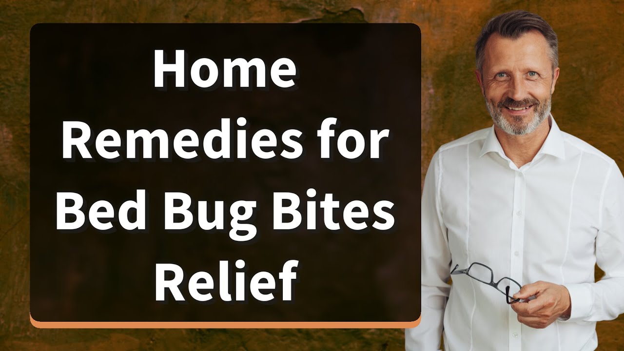 Home Remedies for Bed Bug Bites Relief - YouTube