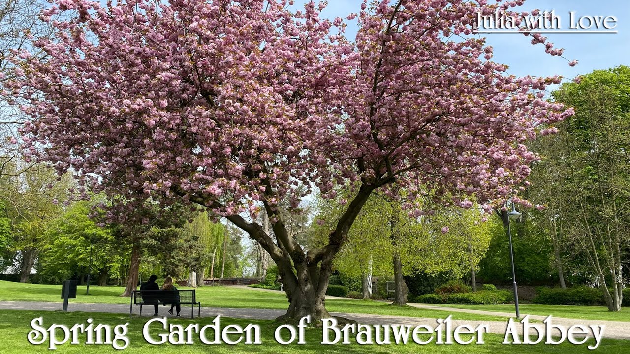 #95 Spring Garden of Brauweiler Abbey, Germany | Through the Scents ...