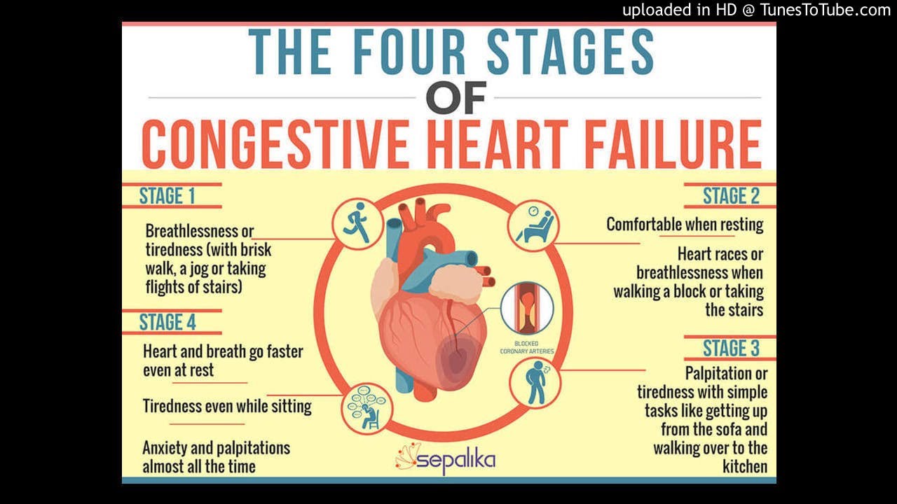 Tolvaptan, a vasopressin V2 receptor antagonist, is a strong diuretic ...