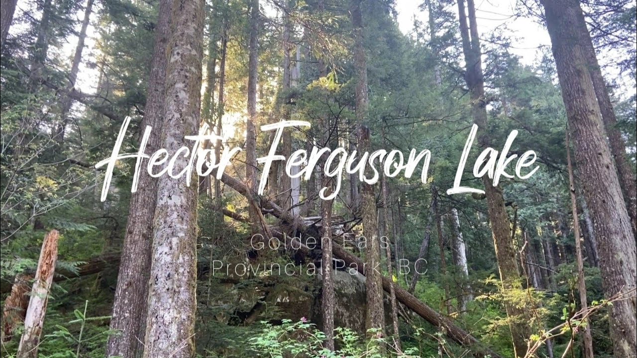 Hector Ferguson Lake, Golden Ears Provincial Park, BC - YouTube