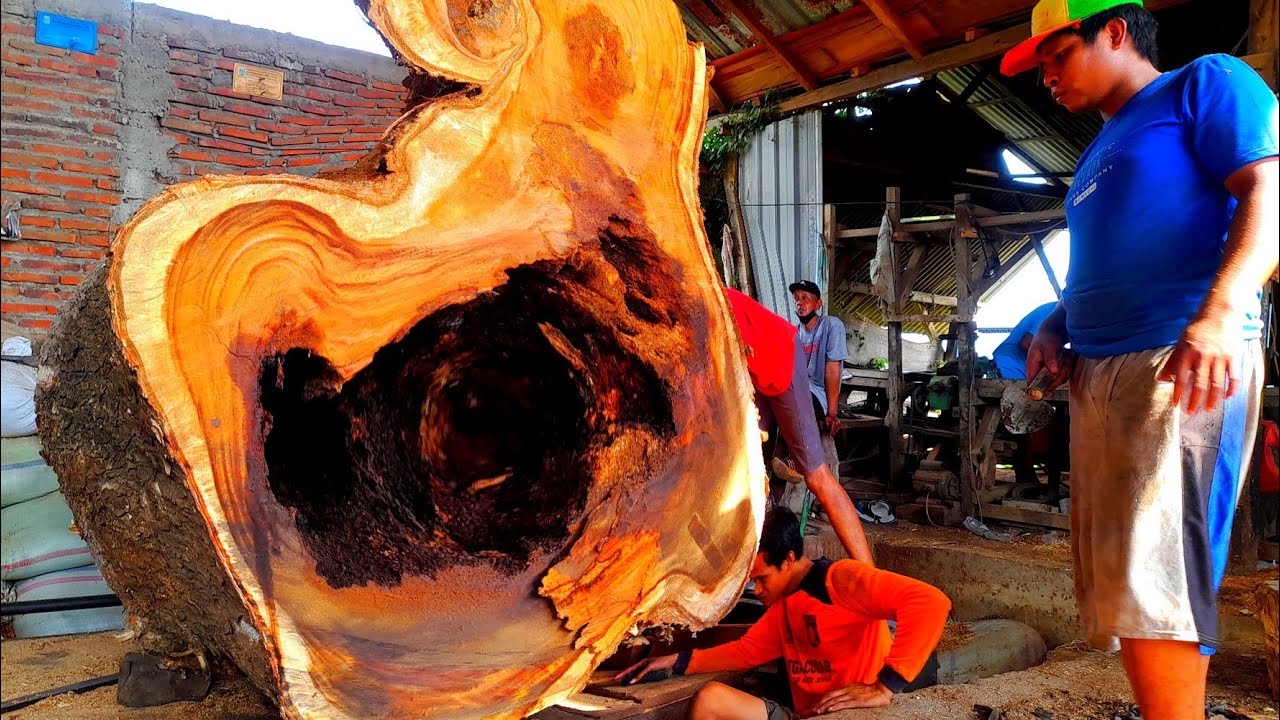 TREMBESI BOLONG BEKAS SARANG MENCAWAK DI GERGAJI BAHAN MEJA RESIN - YouTube