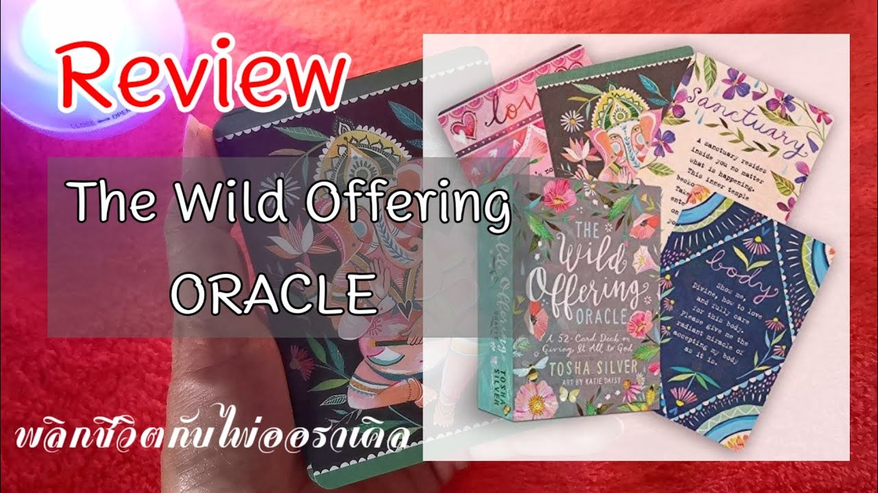 รีวิว หน้าไพ่ ออราเคิล The Wild Offering ORACLE / พลิกชีวิตกับไพ่ออราเค ...