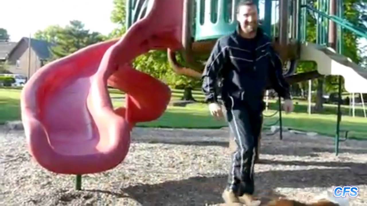 Bulldogs on Slides Compilation - YouTube