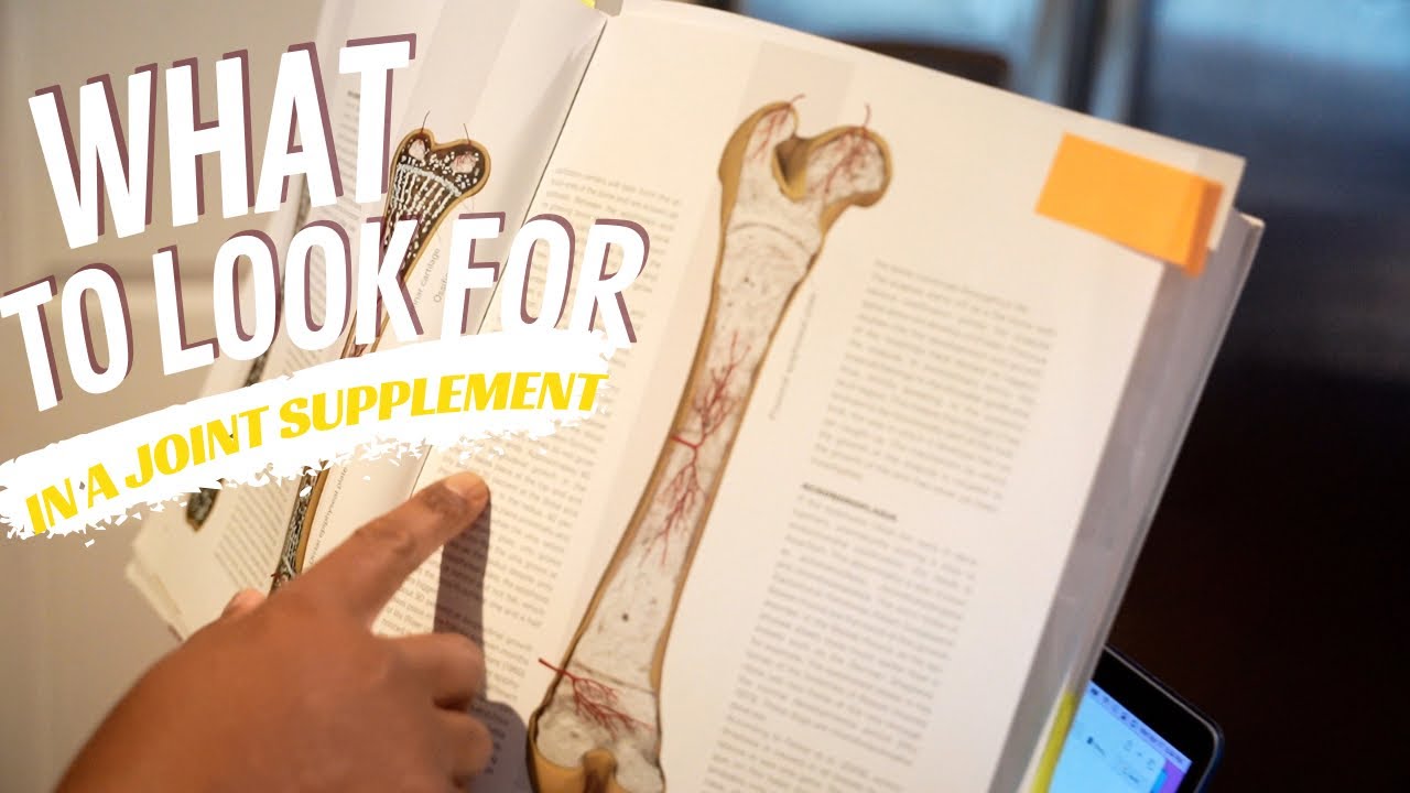 What to look for in Joint Support - YouTube