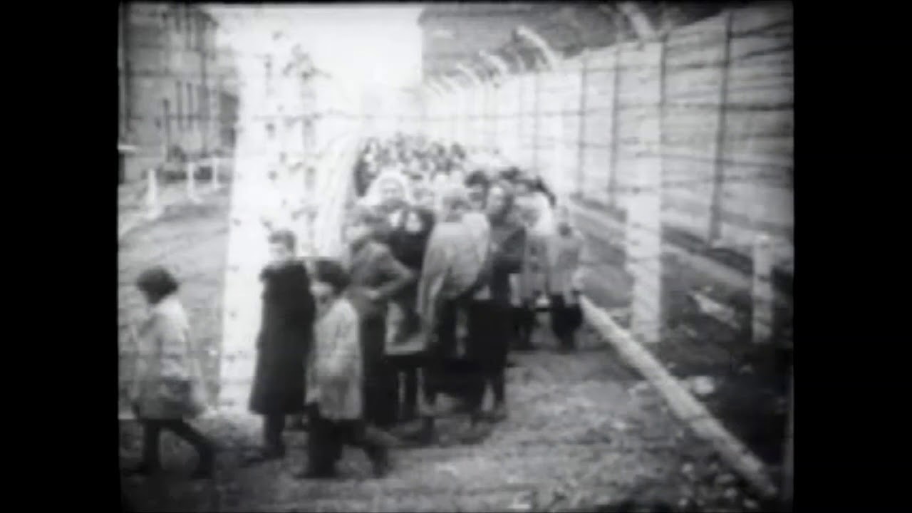 Medical Experiments Auschwitz Medium - YouTube