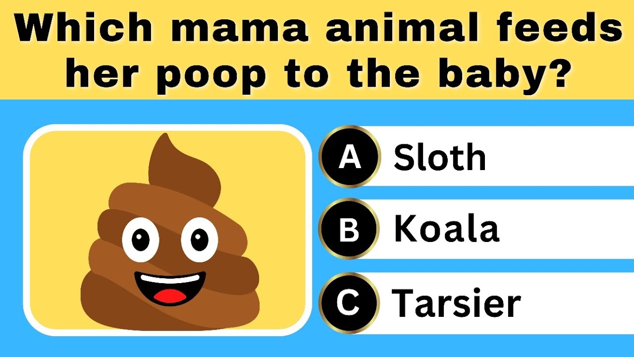 Animal Quiz | The Amazing Moms Of The Animal Kingdom | Quizzer Bee ...