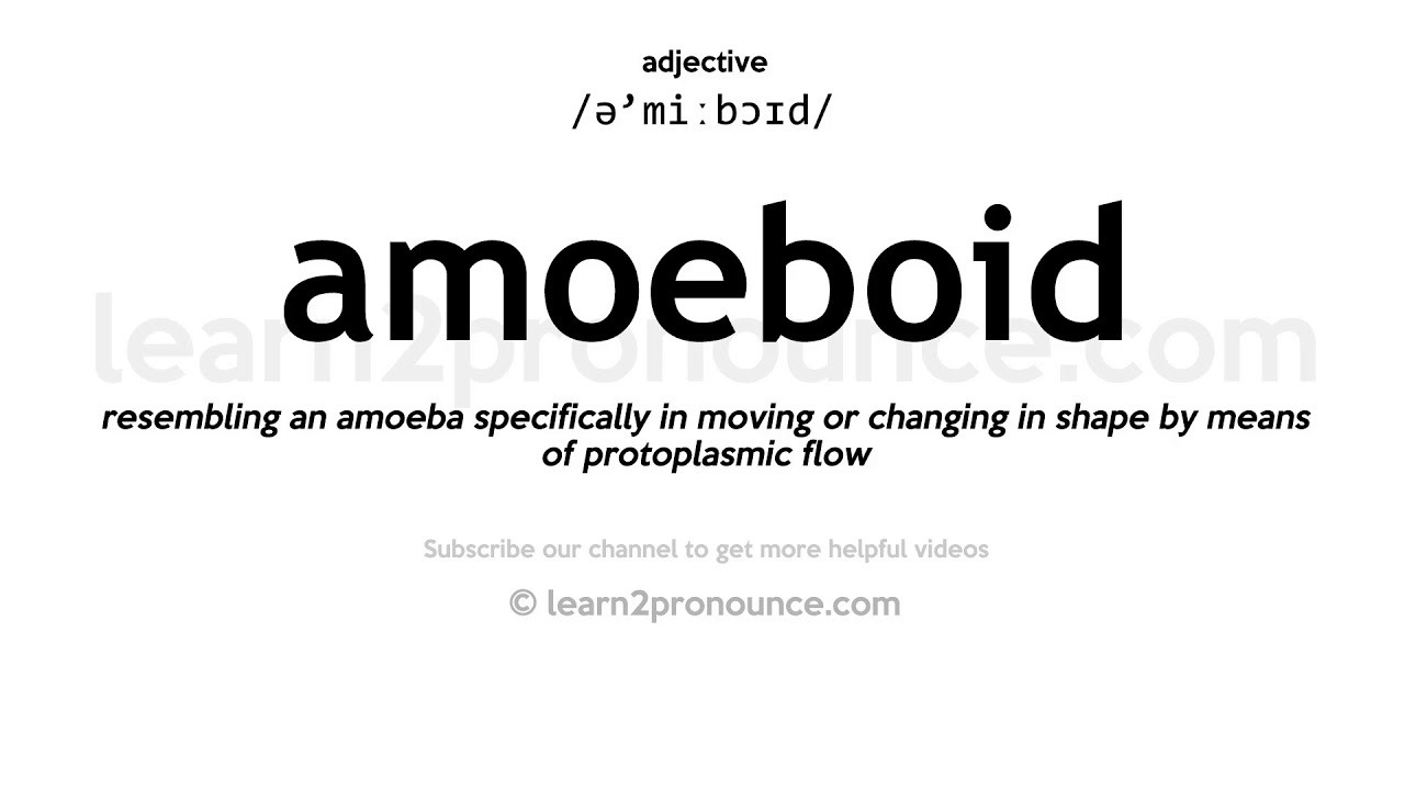 Pronunciation of Amoeboid | Definition of Amoeboid - YouTube