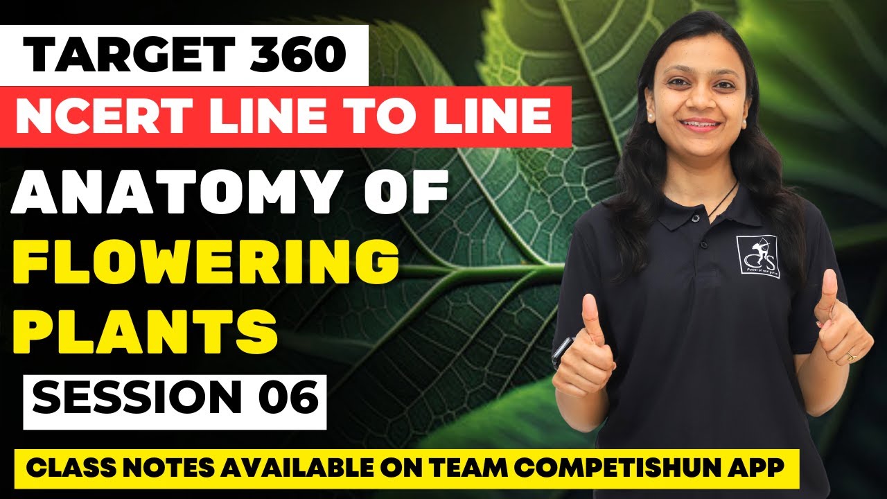 Anatomy of flowering plants-6 | NCERT line by line | Stem anatomy ...