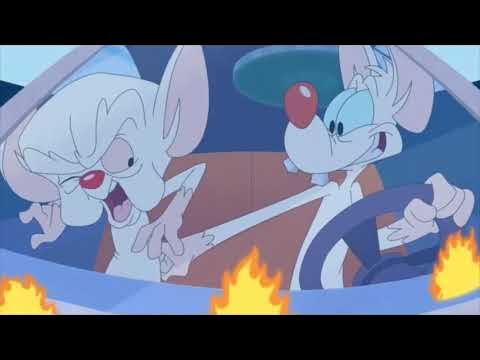 Pinky and Brain’s tickle fight - YouTube