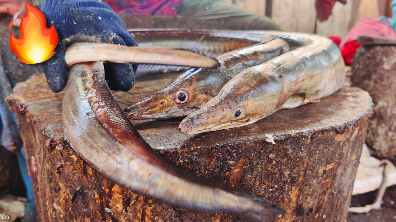 Never Seen!!! 5Kg Live Monster Eel Fish Cutting & Cleaning Skills ...