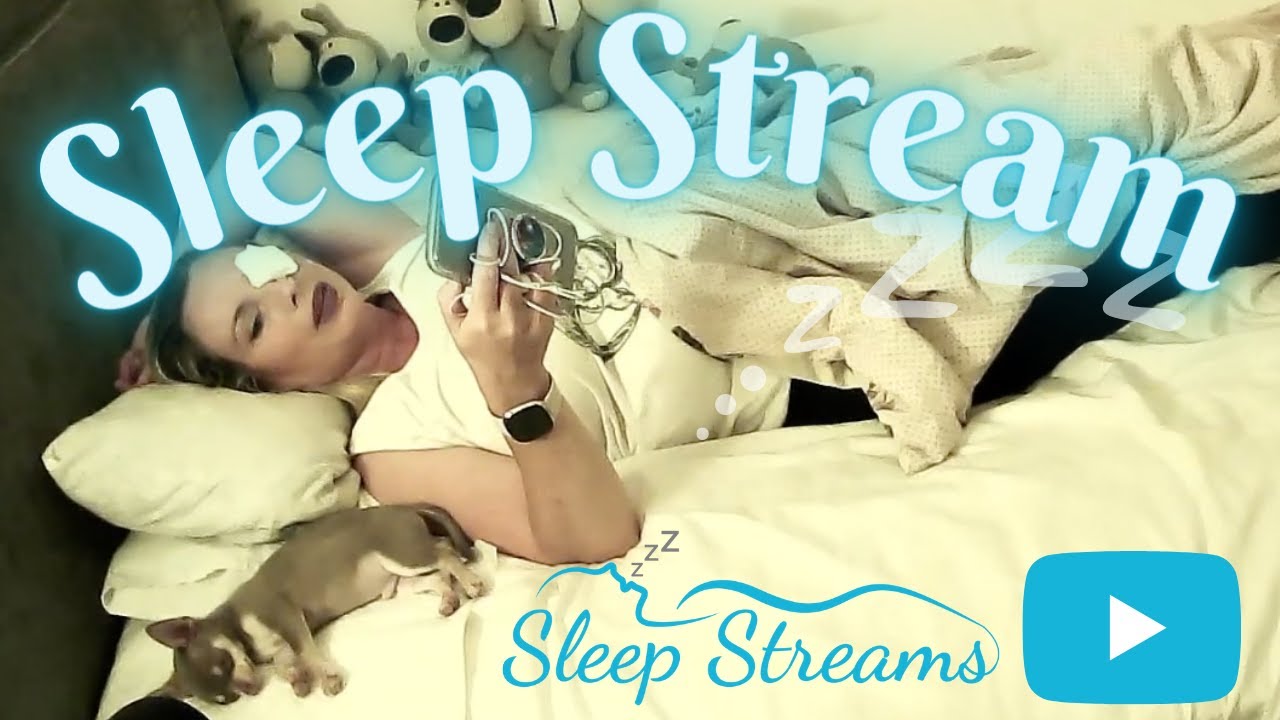 live Sleep Stream with Snoring ASMR with Puppy - YouTube