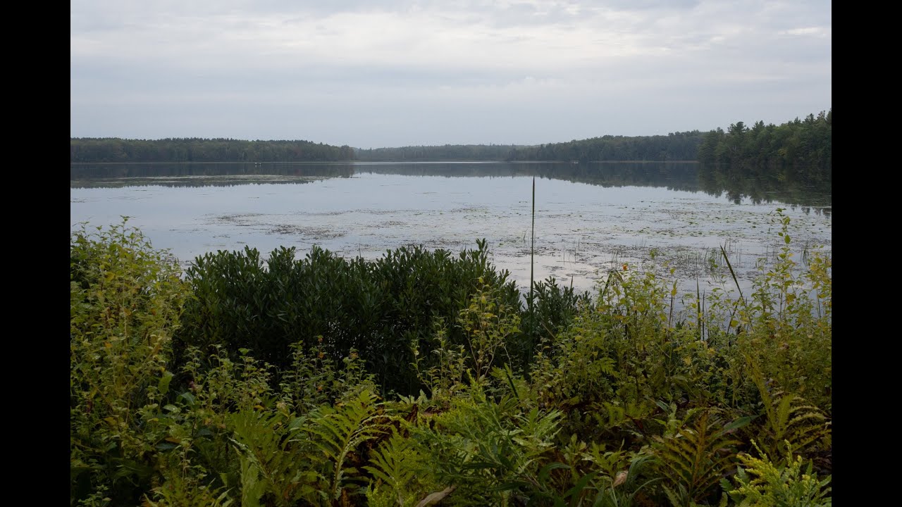 NCT: Hiking from Brevort Lake Campground to M-123 (Forests sounds to ...