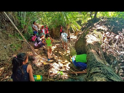 Exploring one of the forests here in the Philippines | Hunting crabs ...