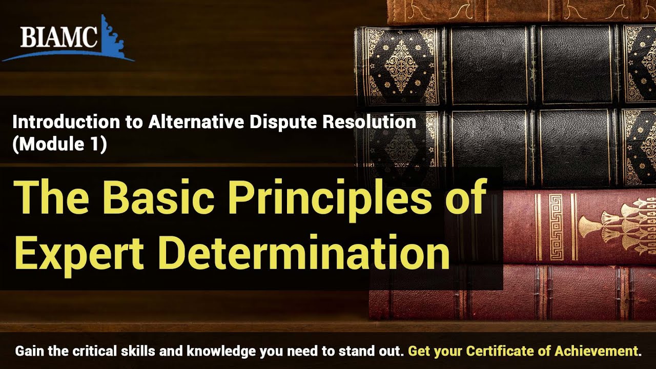 The Basic Principles of Expert Determination - YouTube
