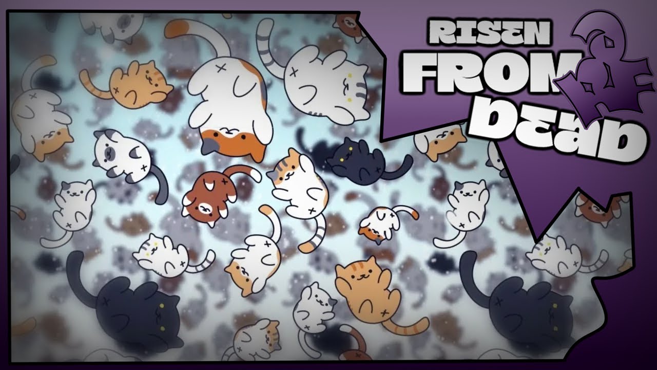 Risen From Dead - Meow Distortion [Original Meow] - YouTube