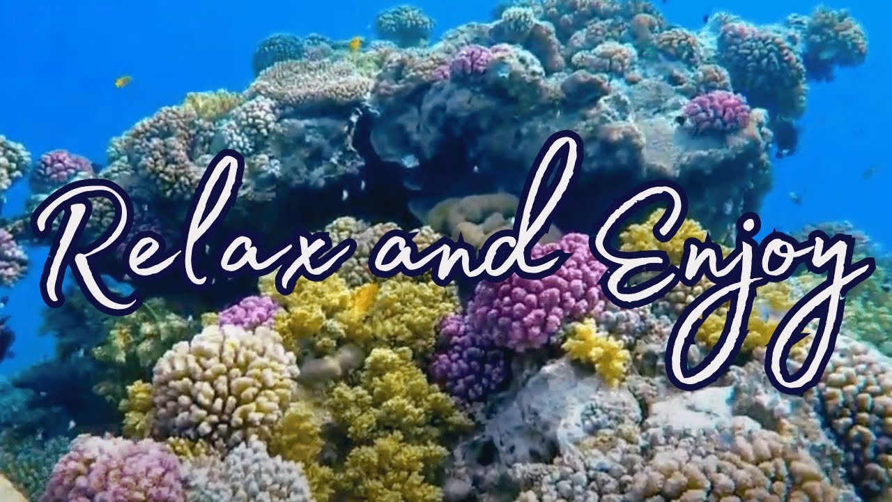 Soothing and calming video | 30 Minutes of Relaxing Video | Nature ...