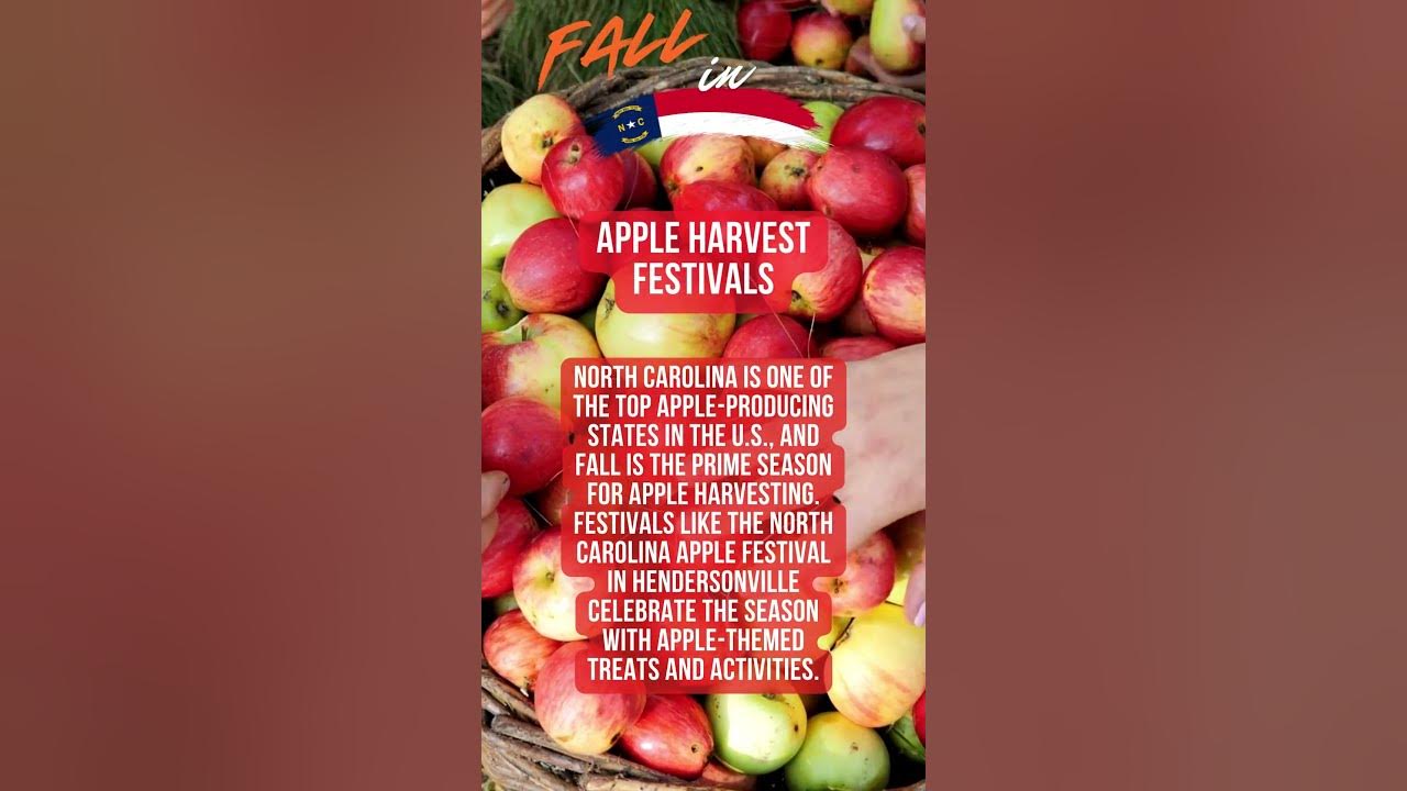 Apple Harvest Festivals | Carolina Corners | #shorts - YouTube