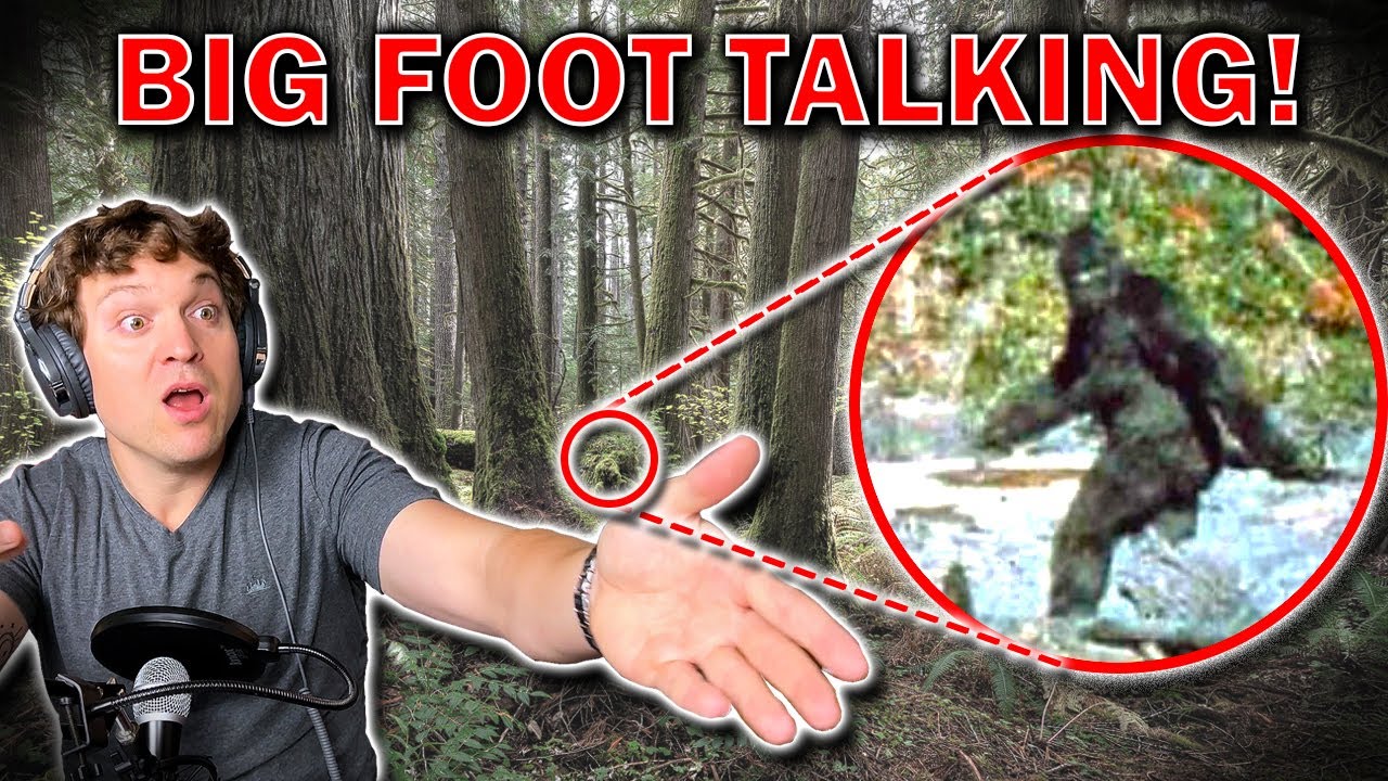 Bigfoot Talking! | Sierra Mountains Recording | SU Podcast Episode 112 ...
