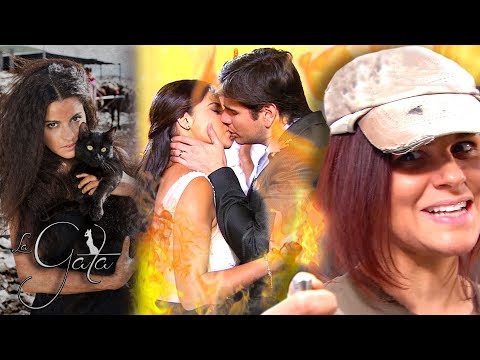 La Gata - Capítulo 60: La boda de Esmeralda y Pablo - Tlnovelas
