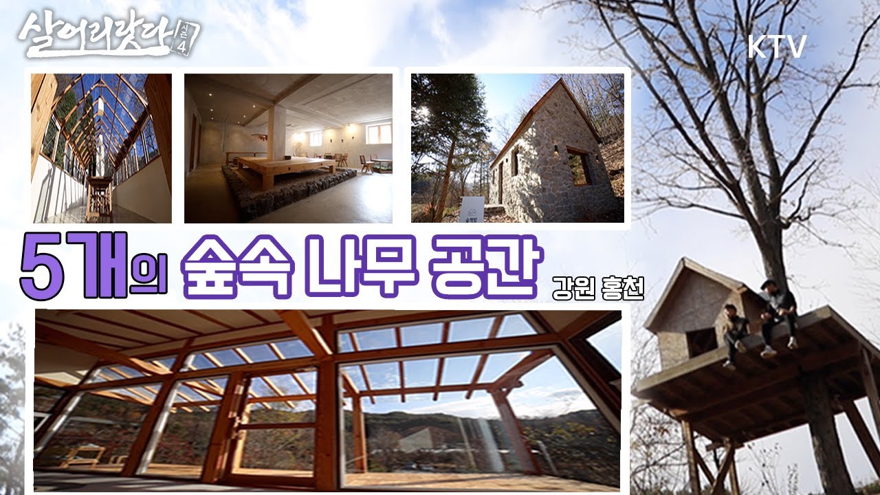 (강원 홍천) 차근차근 천천히...이토록 불편한 행복!! ktv, garden, treehouse, korea tv ...