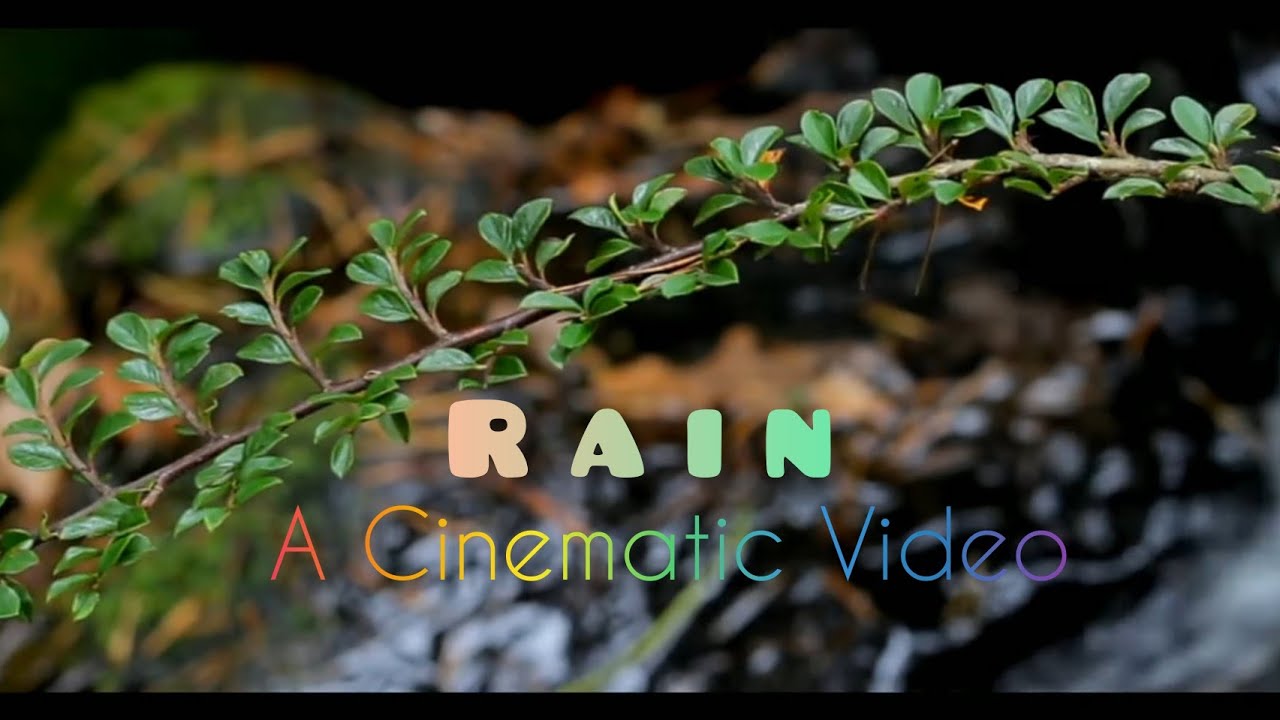 Beautiful Rain Raining Scenery and Nature Video || Cinematic Video ...