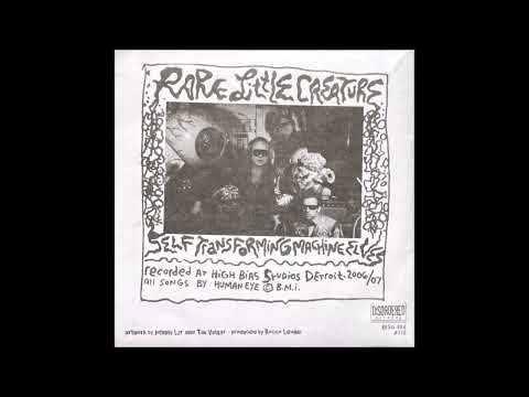 Human Eye - Self Transforming Machine Elves (US, Michigan, psychedelic art punk)