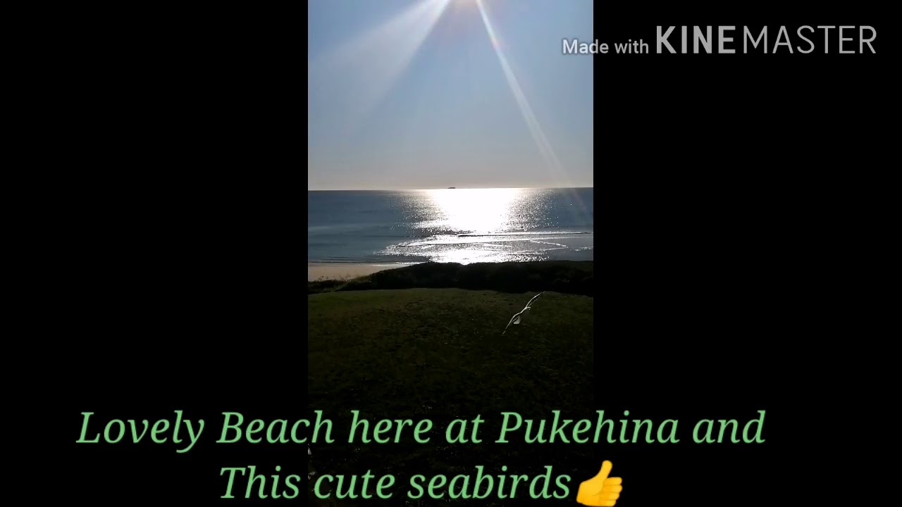 New Zealand - Pukehina Beach - YouTube
