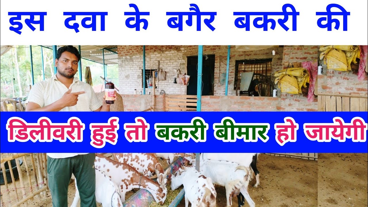 इस दवा के बगैर बकरी की डिलीवरी नही हो सकती | exapar liquid for goats ...