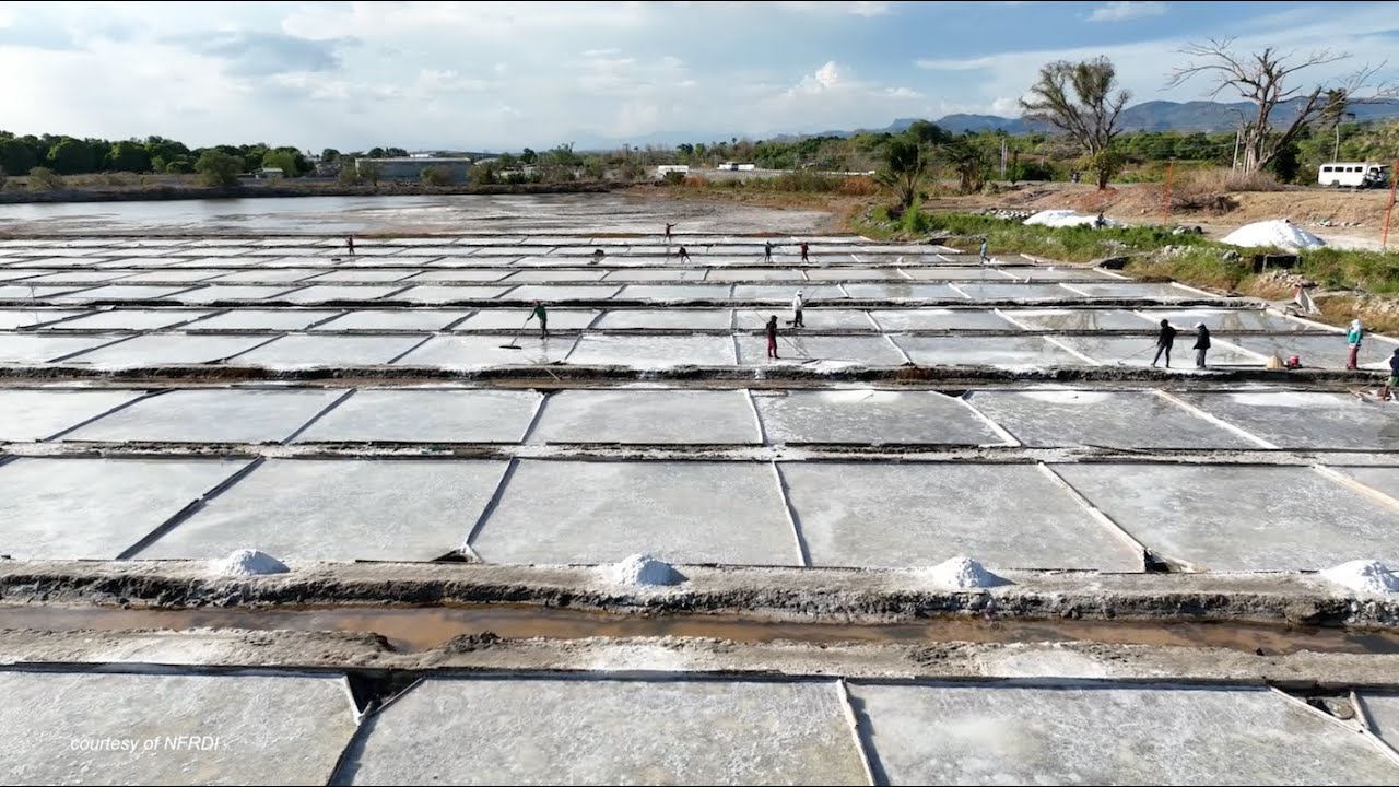 Development of SALT Industry Project (DSIP) - YouTube