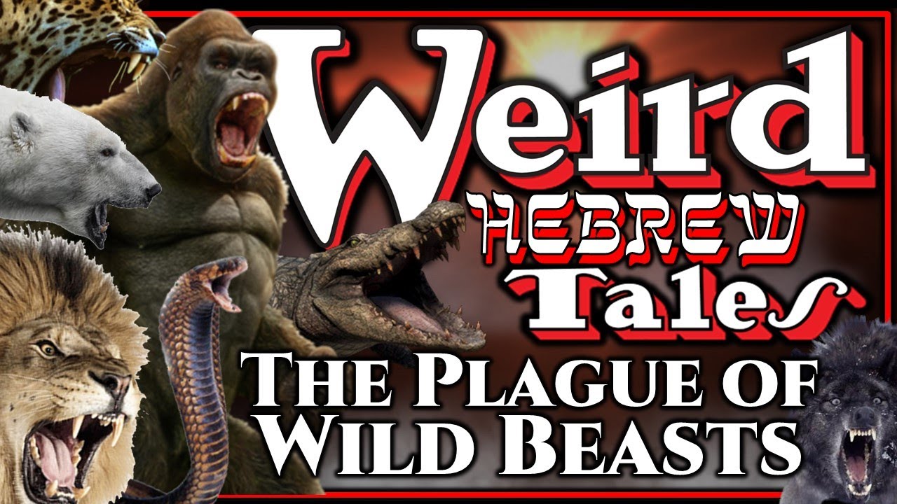 Weird Hebrew Tales - The Plague of Wild Beasts - YouTube
