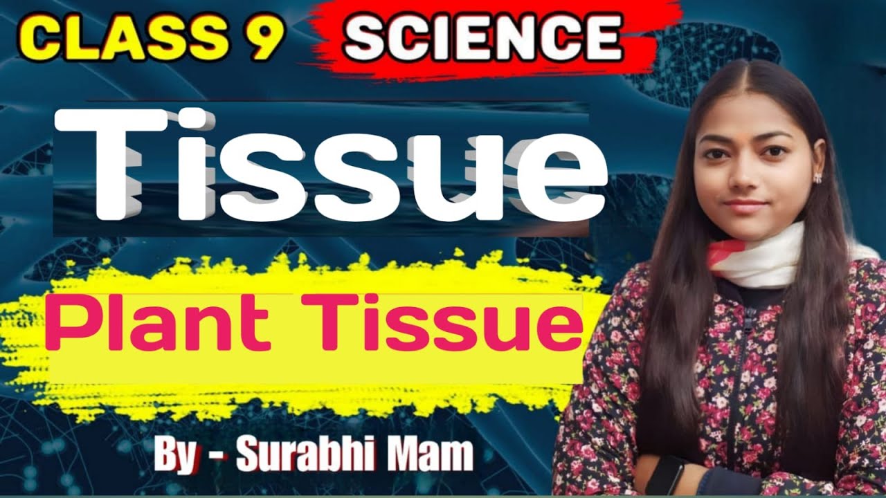 Tissue & Plant Tissue Class 9 Full Chapter in One-Shot Explanation in ...