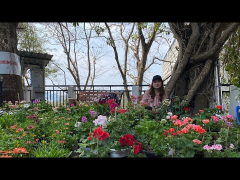 Pangpar || zuar || association || flowers || fair || ah lo kal vek ru.   