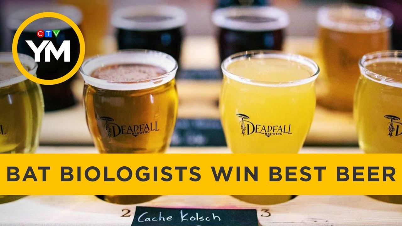 Bat biologists win title of brewing ‘Best Beer’ | Your Morning - YouTube