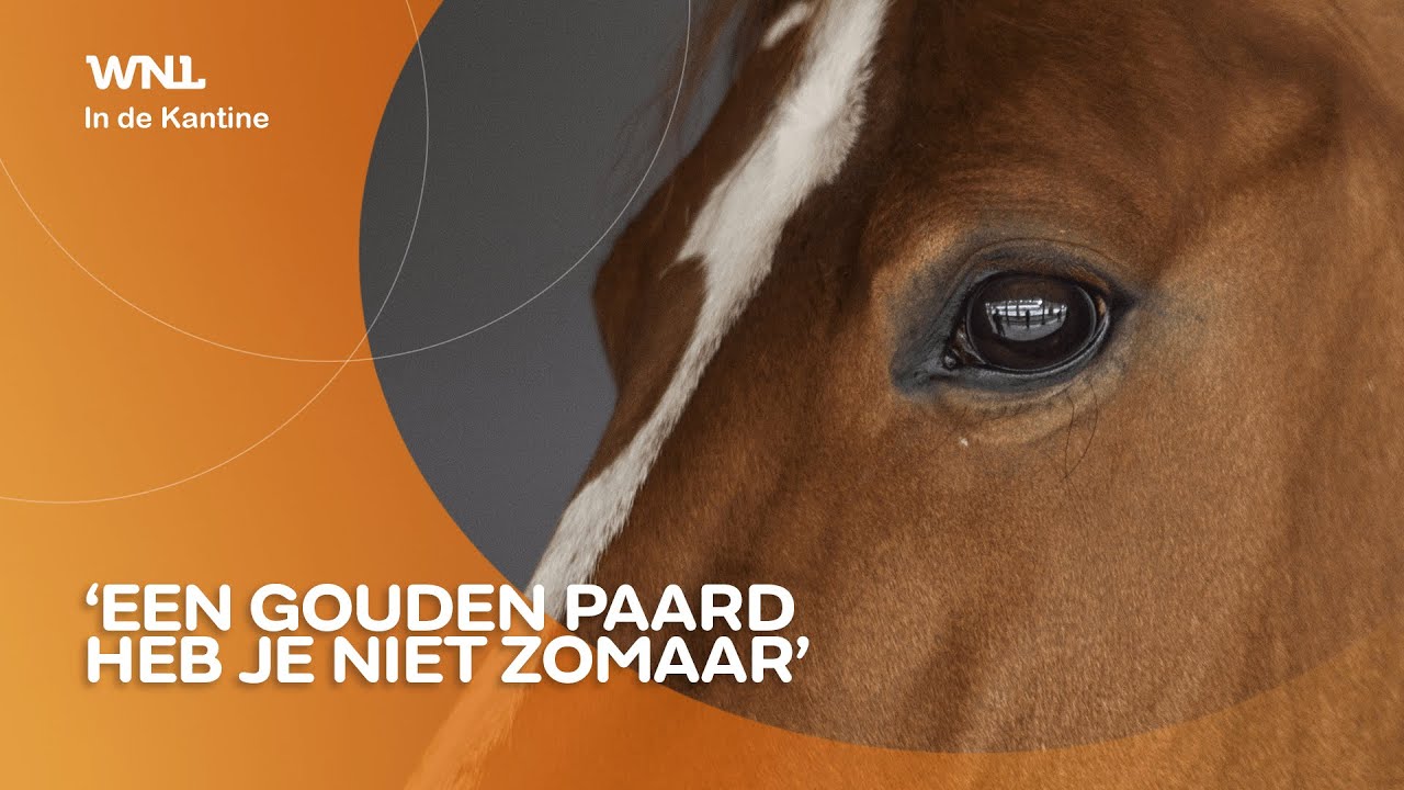 Presentator Annette van Trigt maakt docu over Brabantse paardenfokker ...
