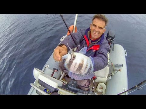 Ζωντανο και στο τηγανι,, - YouTube