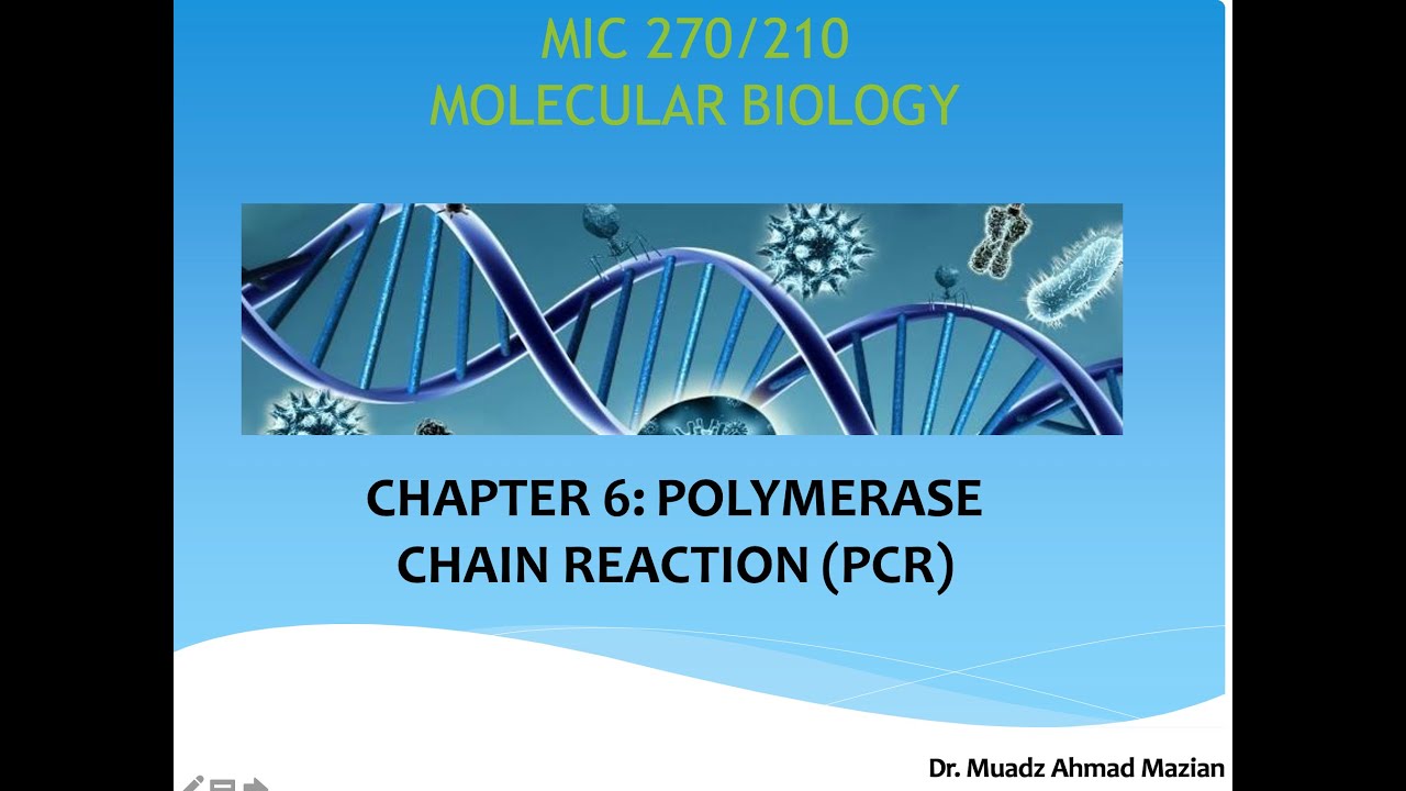 Chapter 6 Polymerase Chain Reaction PCR Part 1 - YouTube