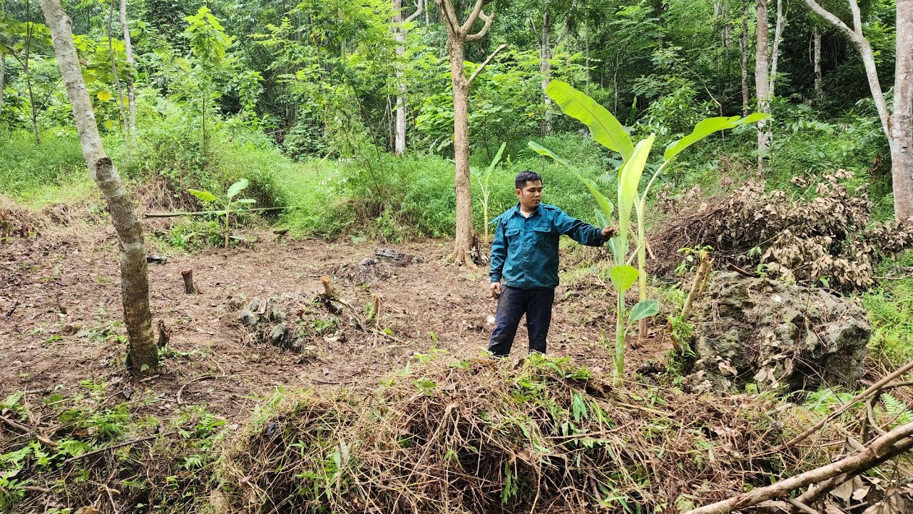 renovate the farm, plant trees, raise chickens ; khanh/farm buiding ...