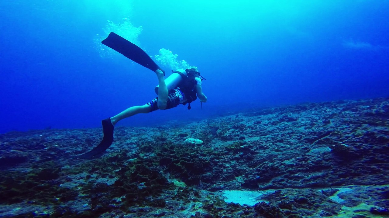 Rangiroa - Scuba Diving Tiputa Pass (with dolphins and more!) - YouTube