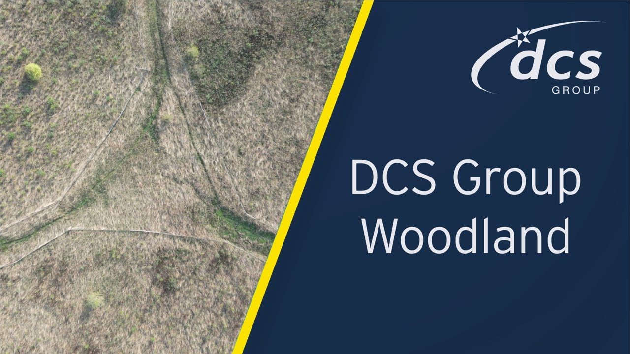 DCS Woodland - DCS Group - YouTube