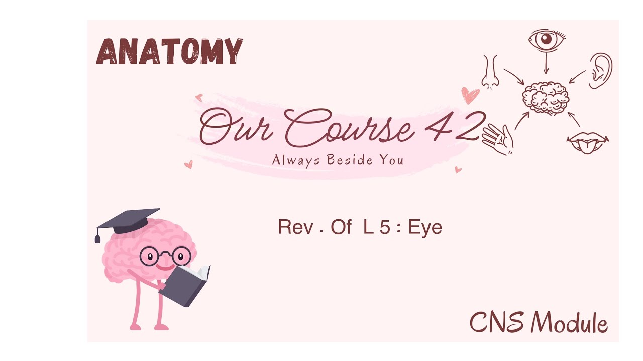 Rev. L5 : anatomy ( Eye) CNS 42 - YouTube